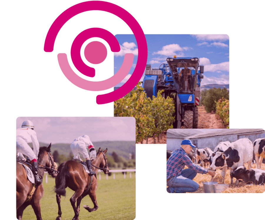 Agriculture, Equine and Livestock Insurance | Canopius