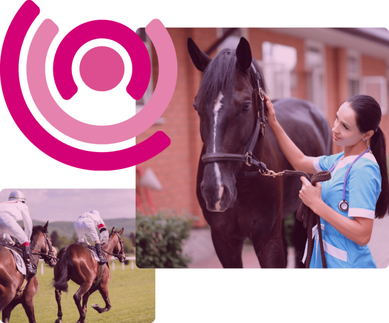 Equine Insurance | Canopius